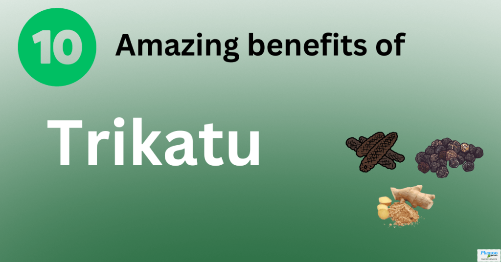 What Are The Amazing Health Benefits Of Trikatu - Plus100years