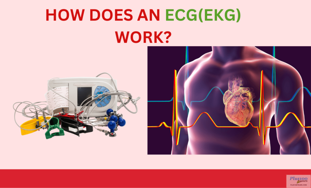 How Does An ECG(EKG) Work? - Plus100years